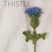 Crochet Thistle Pattern - Step by Step Crochet Flower Pattern With ...