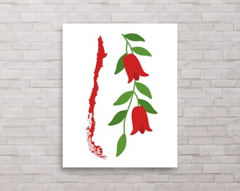 Chilean Bellflower Flower Art Print, Botanical Art Print, Flower Wall ...