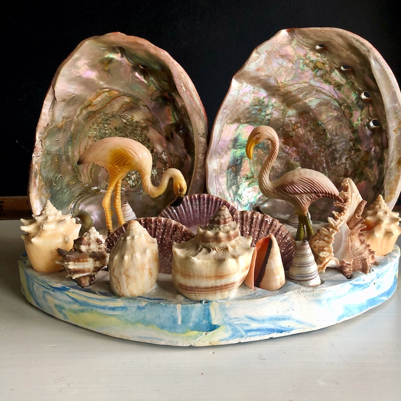 Conch Shell Lamp - Etsy