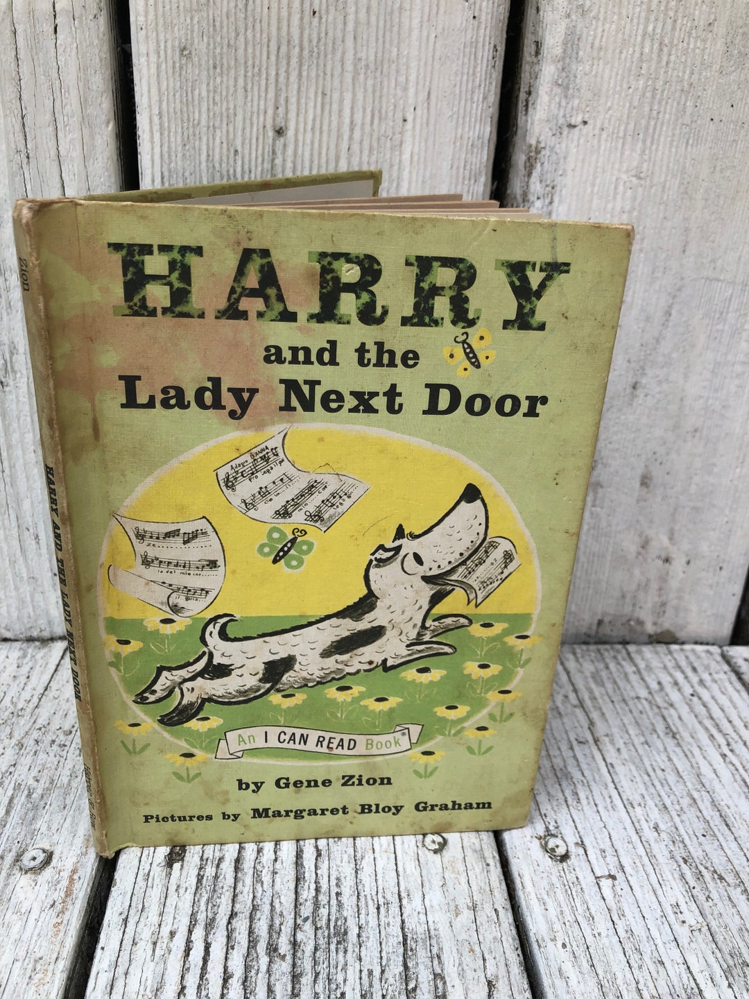 Shabby and Grubby but Wonderful Story of Harry and the Lady Next Door ...