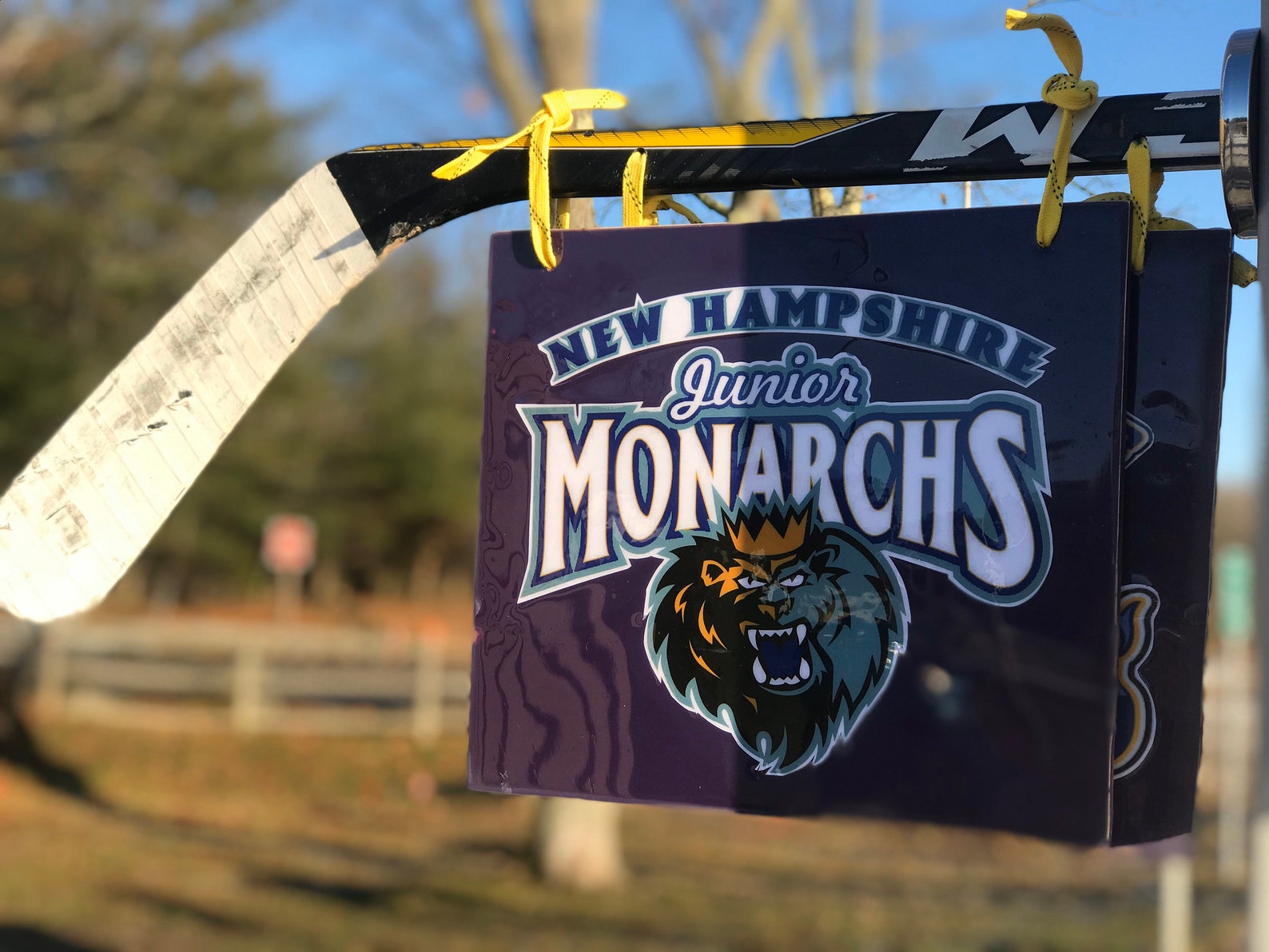 Youth Hockey Team Custom Magnetic Locker Room Door Sign - Etsy