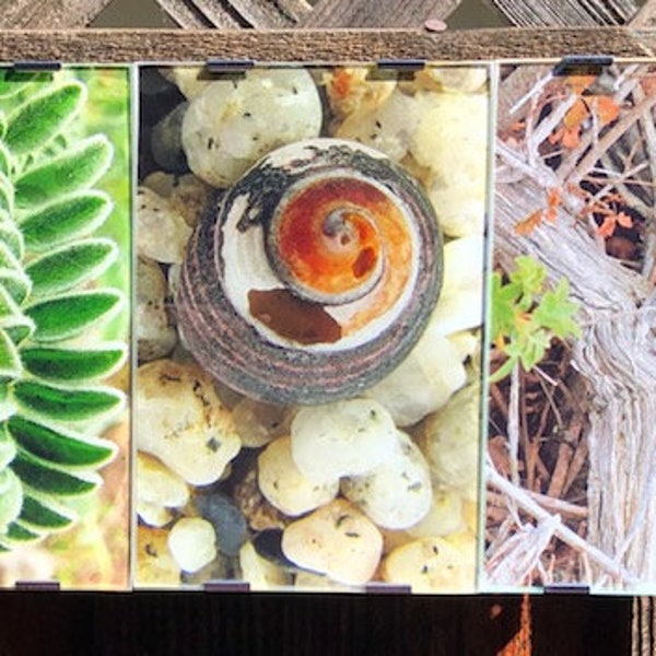 Nature Letters - Etsy