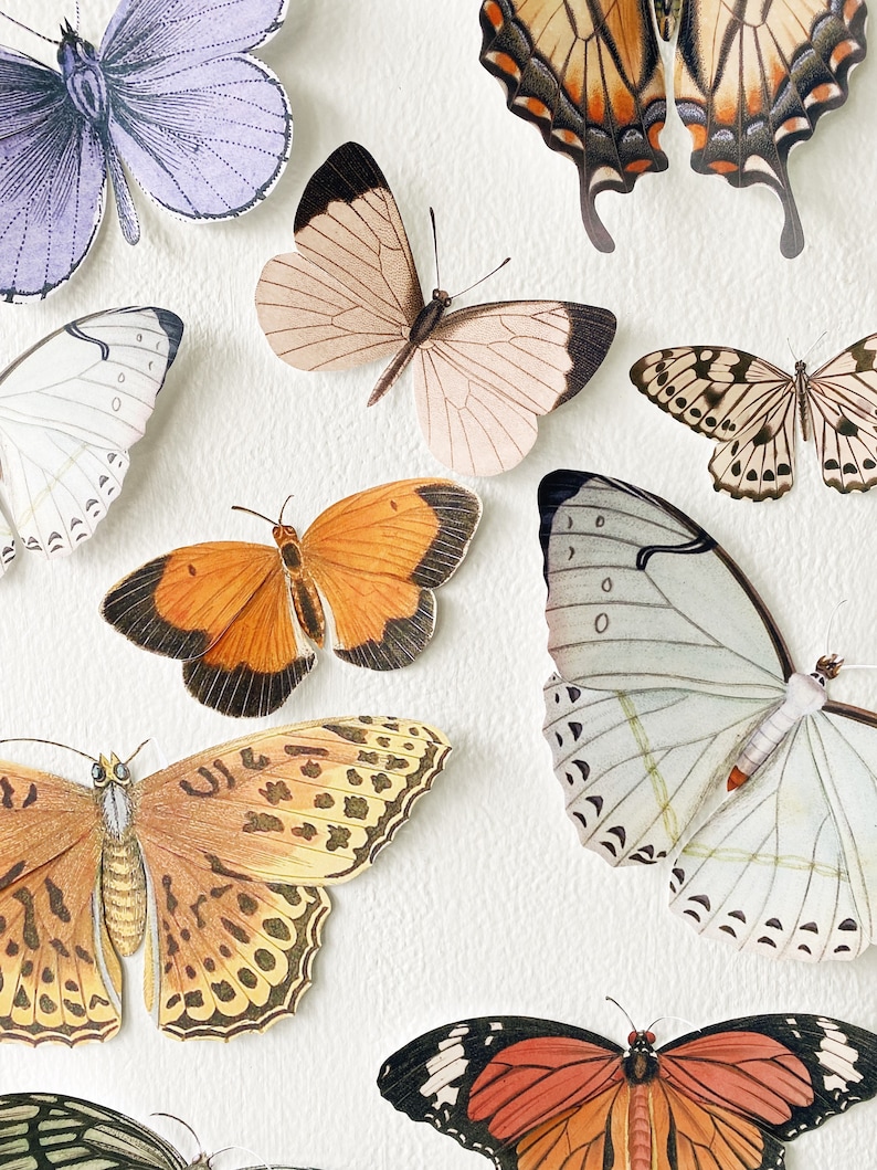 Giant Vintage Paper Butterflies - Etsy