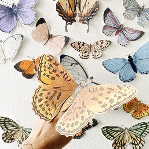 Giant Vintage Paper Butterflies - Etsy