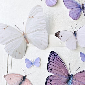 Giant Pastel Paper Butterflies - Etsy