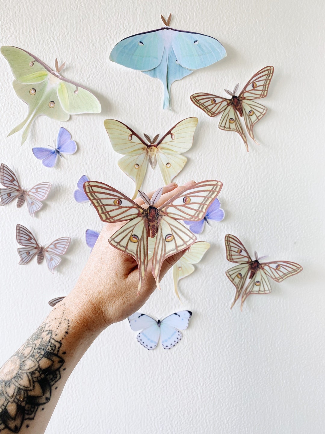 Paper Luna Moths and Butterflies - Etsy