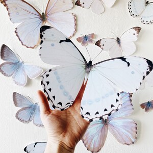 Blue Paper Butterfly Decor With Lavender Accents - Etsy