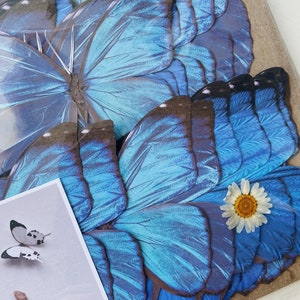 Blue Paper Butterfly Decor - Etsy
