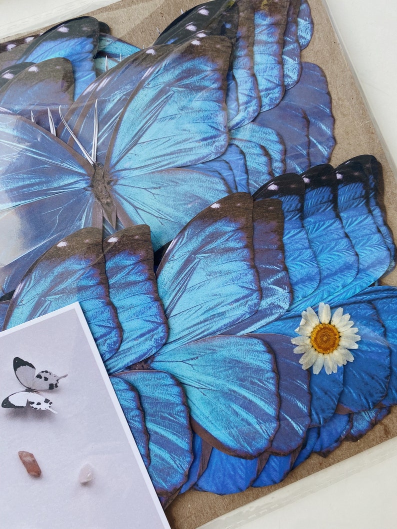 Blue Paper Butterfly Decor - Etsy