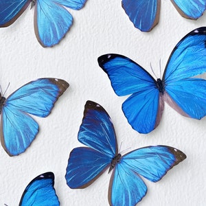 Blue Paper Butterfly Decor - Etsy