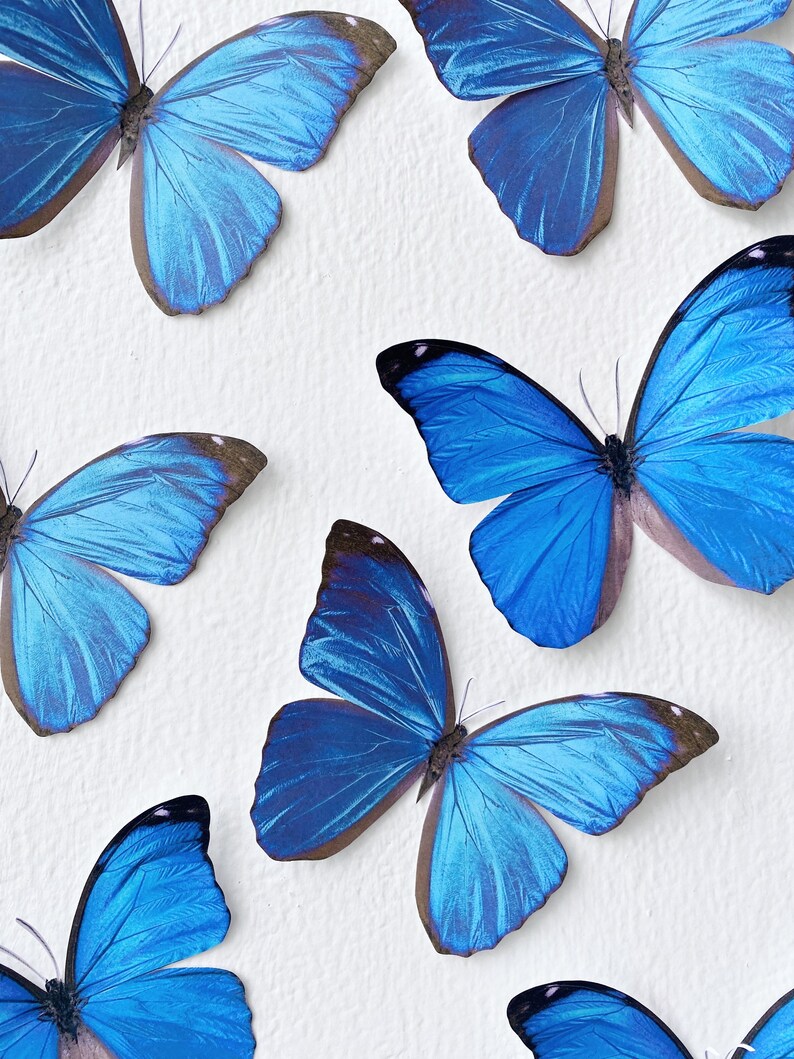 Blue Paper Butterfly Decor - Etsy