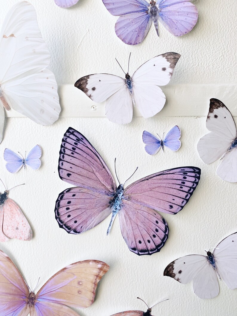 Giant Pastel Paper Butterflies - Etsy