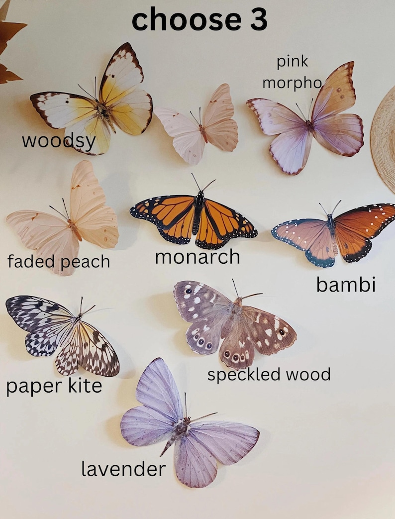 Goliath Paper Butterfly Larger Then Life Decor, Party, Nursery ...