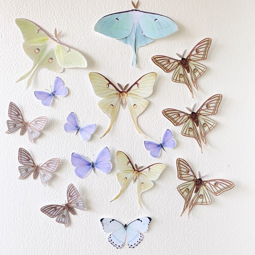 Luna Moth Luna Moth Paper Cutouts Realistic Paper Moths 5 - Etsy