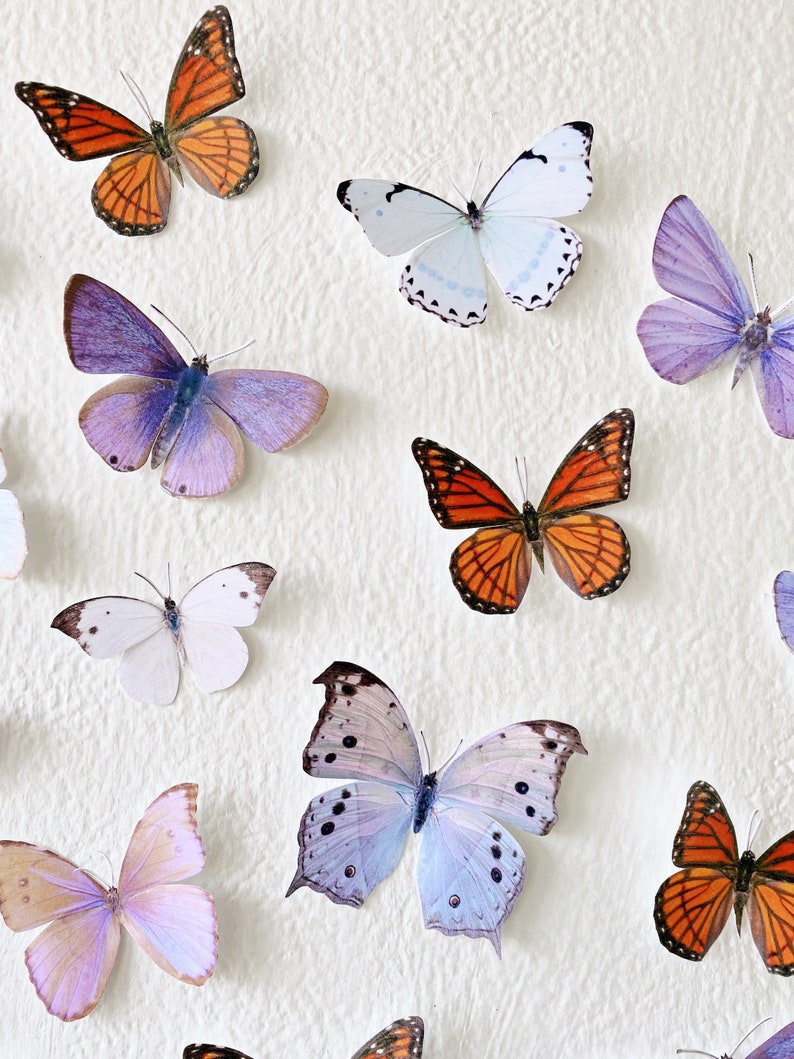 Pastel Mini Paper Butterfly Set - Charming Party & Home Decor - Etsy