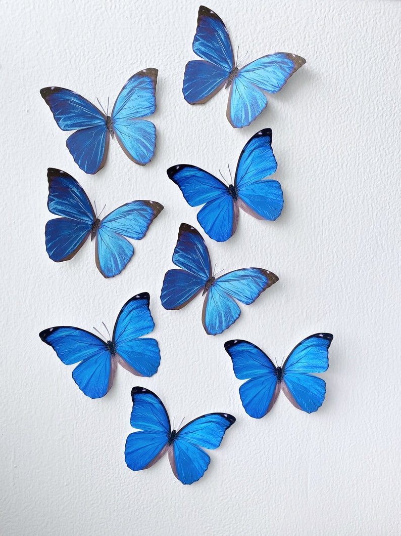 Blue Paper Butterfly Decor - Etsy