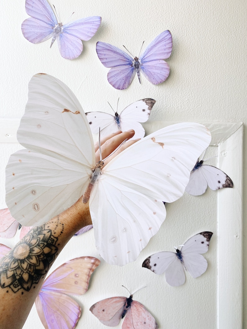 Giant Pastel Paper Butterflies - Etsy