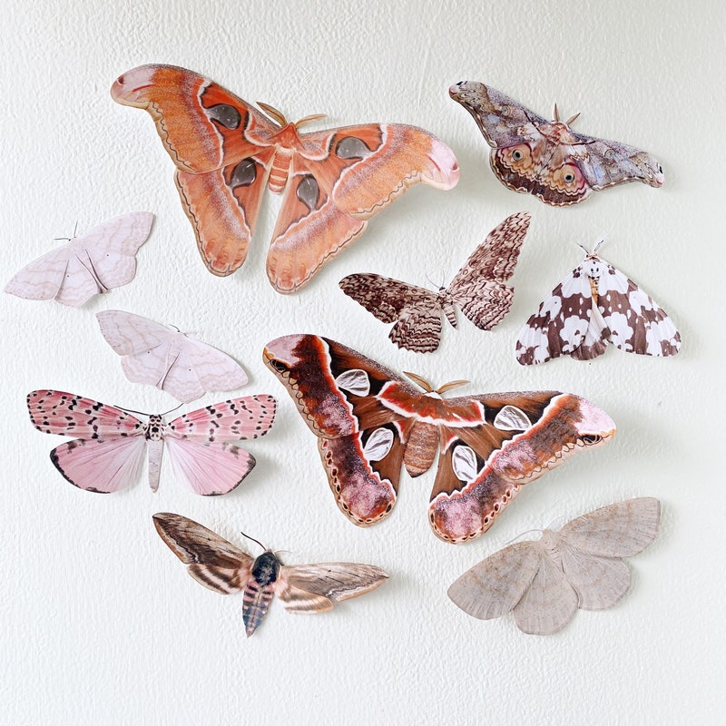FlyingThings - Etsy