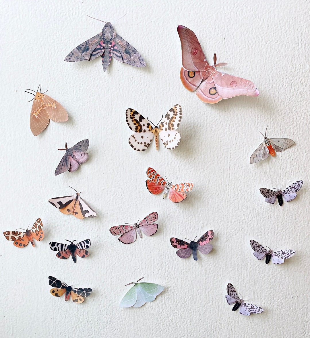 Pastel Paper Moths Small Handmade Nature Inspired Home Decor - Etsy