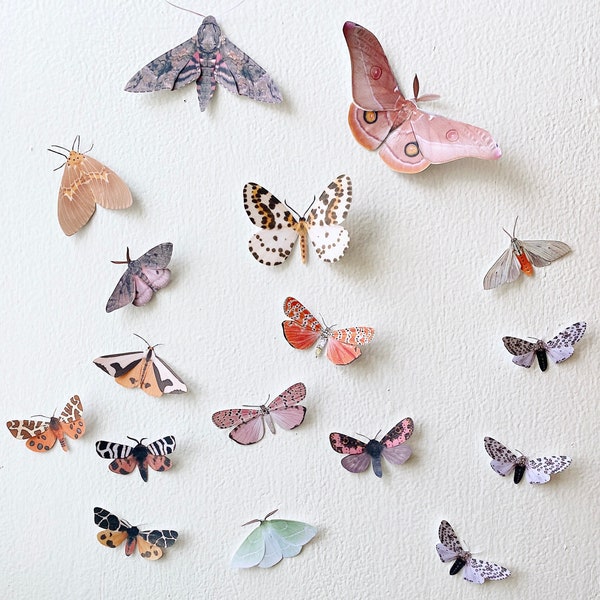 Paper moths - Etsy