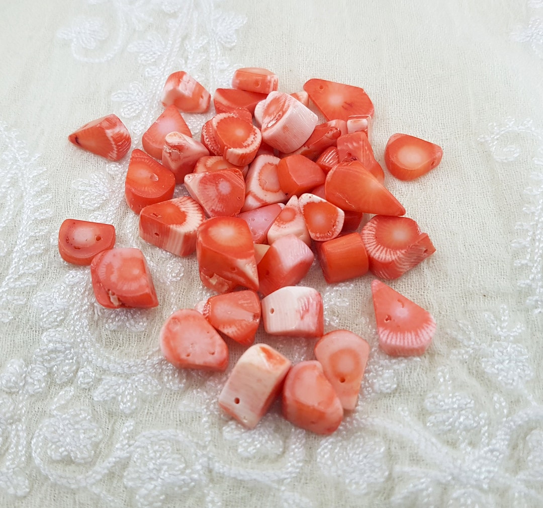 Coral Beads,irregular Shape Red Coral Beads,white Red Fan Shaped Coral ...