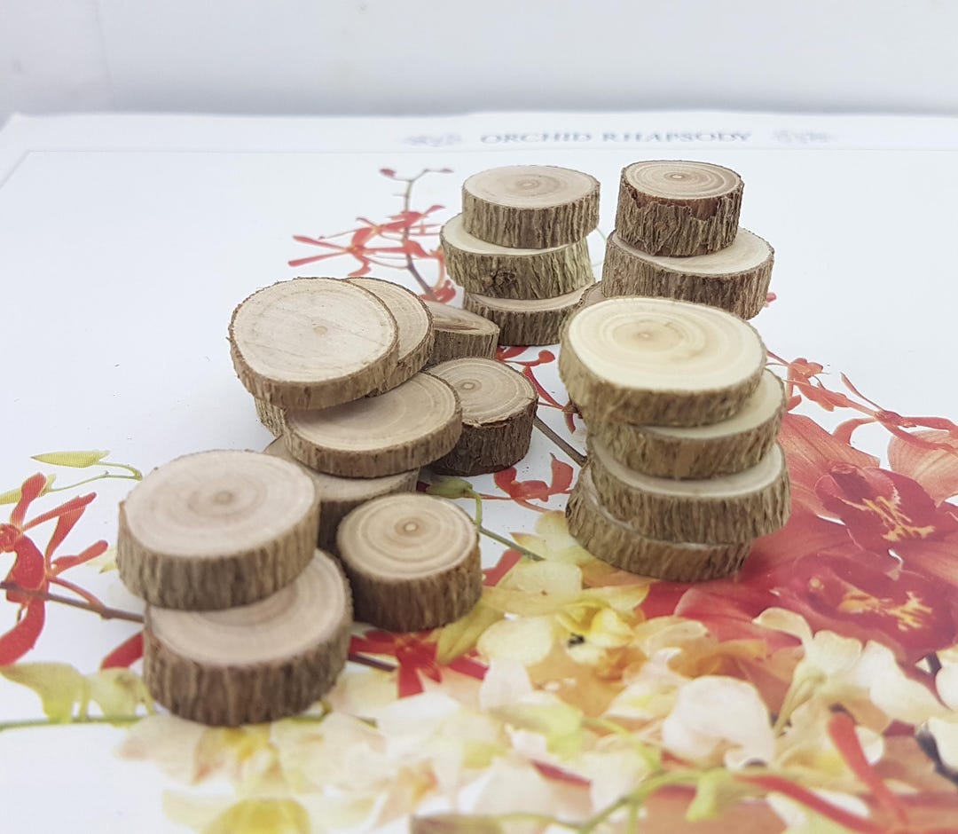 Natural Bark Wood Log Slice,unfinished Round Wood Slice,tree Wood Slice ...