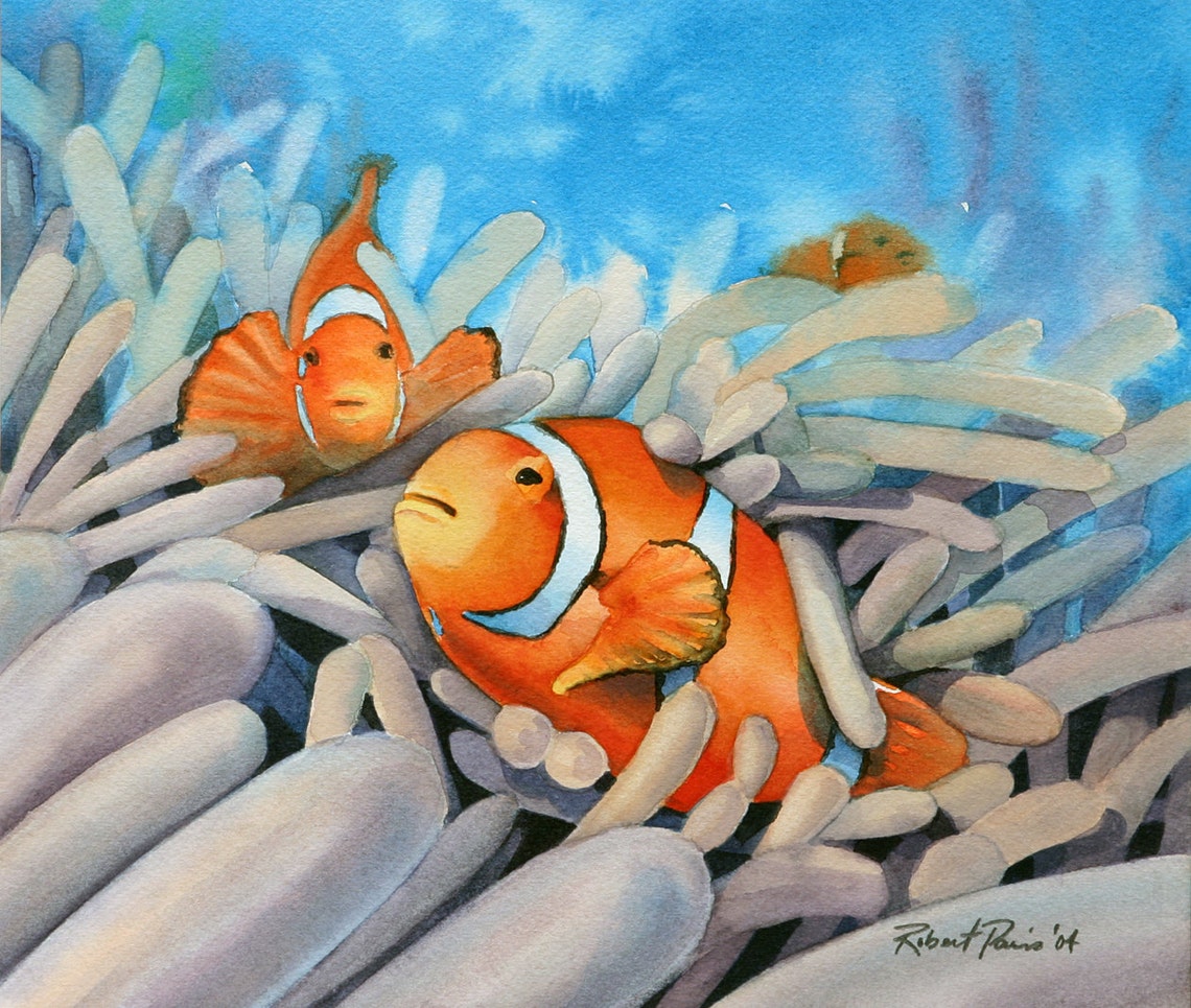 Clown Fish, Original Watercolor 10 X 8, FREE SHIPPING - Etsy