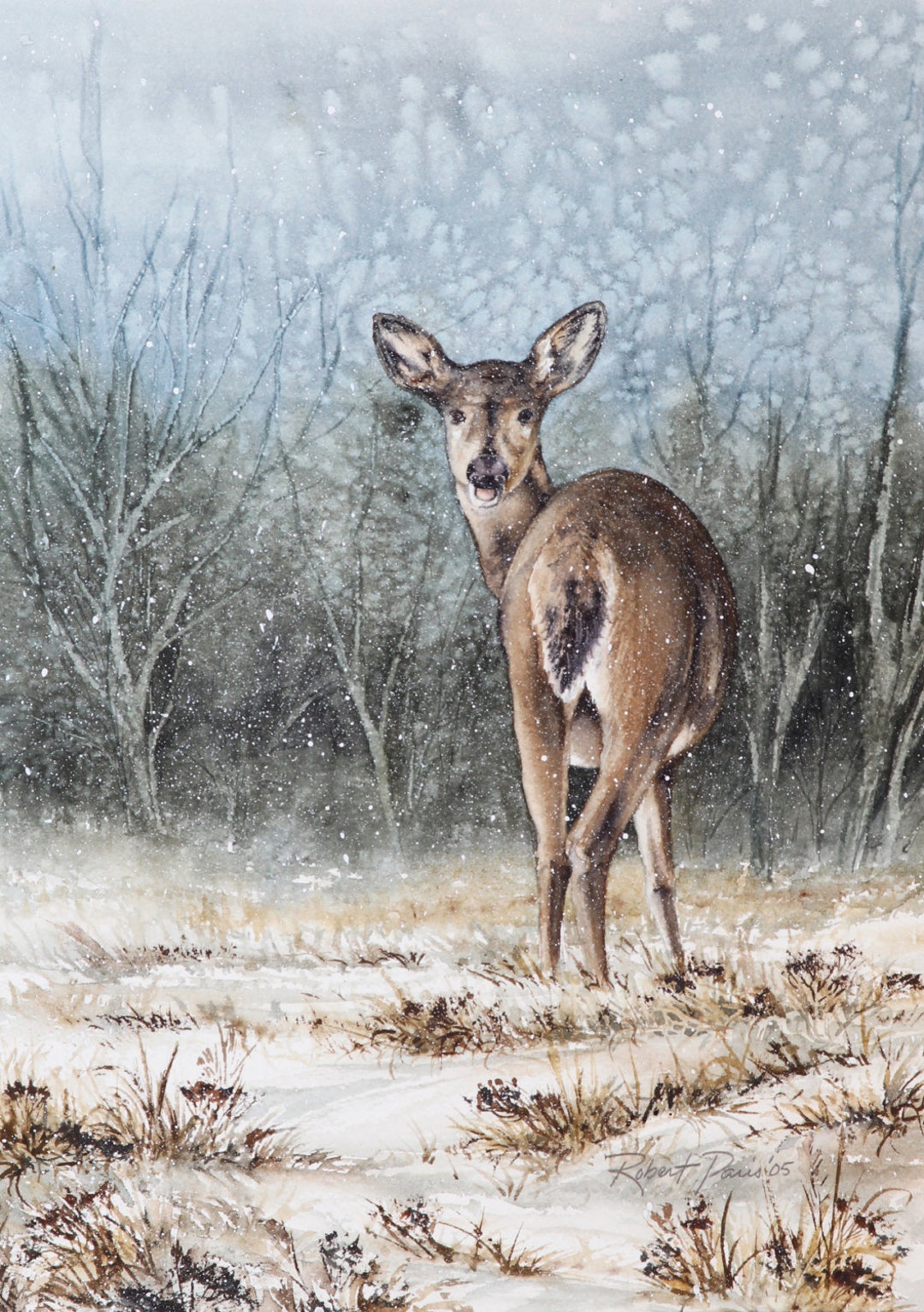 Snow Doe. Watercolor on Paper, 10 X 14. FREE SHIPPING - Etsy