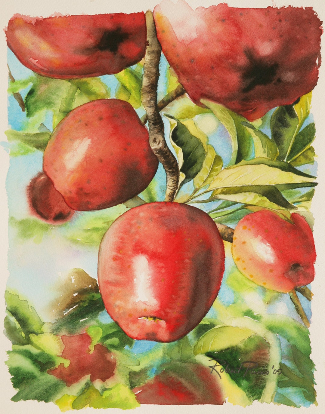 Apples on the Tree. Original Watercolor on Paper, 9 1/2 X 11 1/2 - FREE ...
