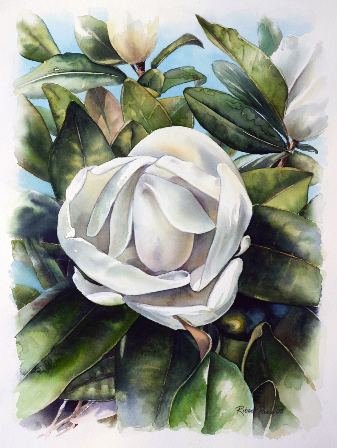 Magnolia Bloom I, Original Watercolor on Paper, 12 X 16 - FREE SHIPPING ...
