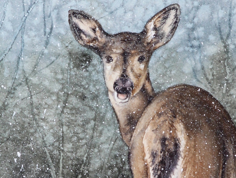 Snow Doe. Watercolor on Paper, 10 X 14. FREE SHIPPING - Etsy