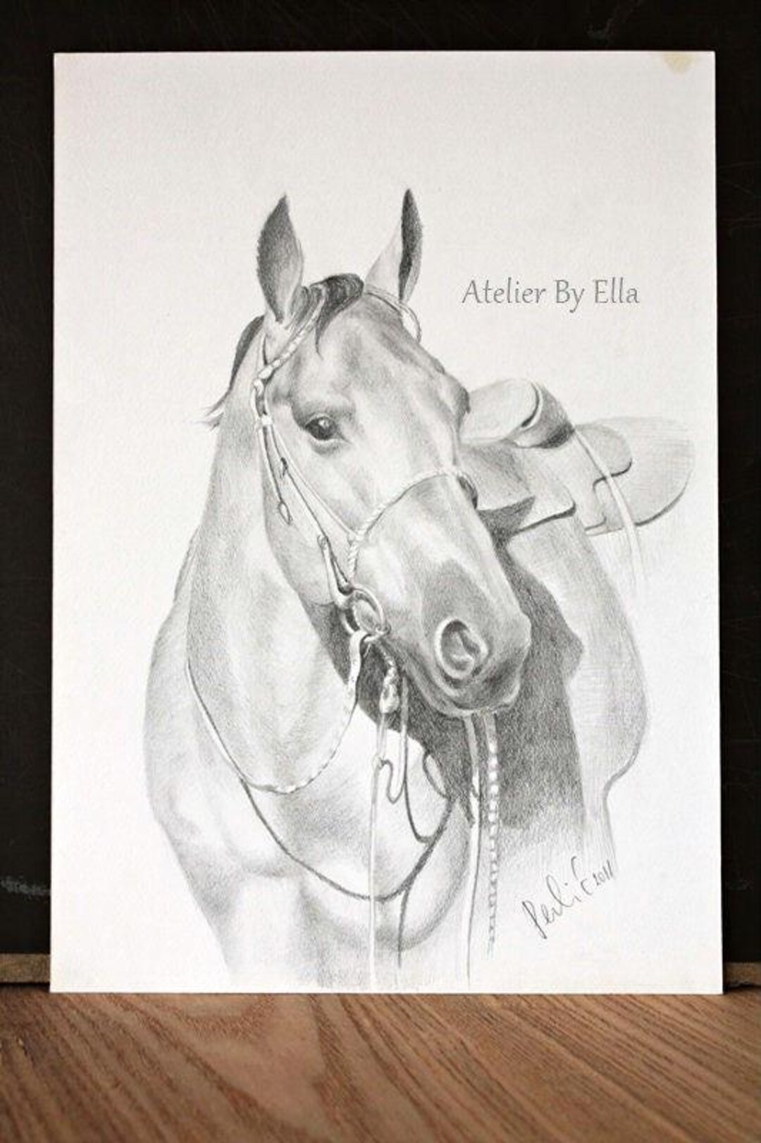 Custom Pet Portrait: Hand Drawn Graphite Animal Illustration (8x10 ...