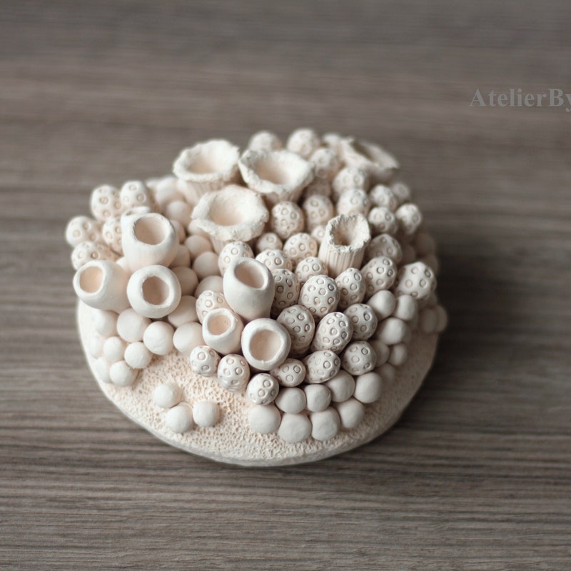 Coral Reef Sculpture - Etsy