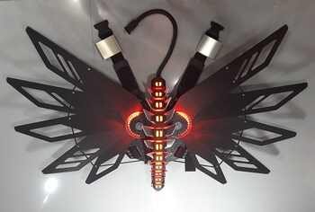 BionicConcepts - Etsy.de