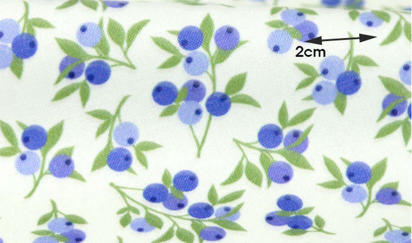 Blueberry Cotton Fabric Fruits Cotton Fabric Digital - Etsy