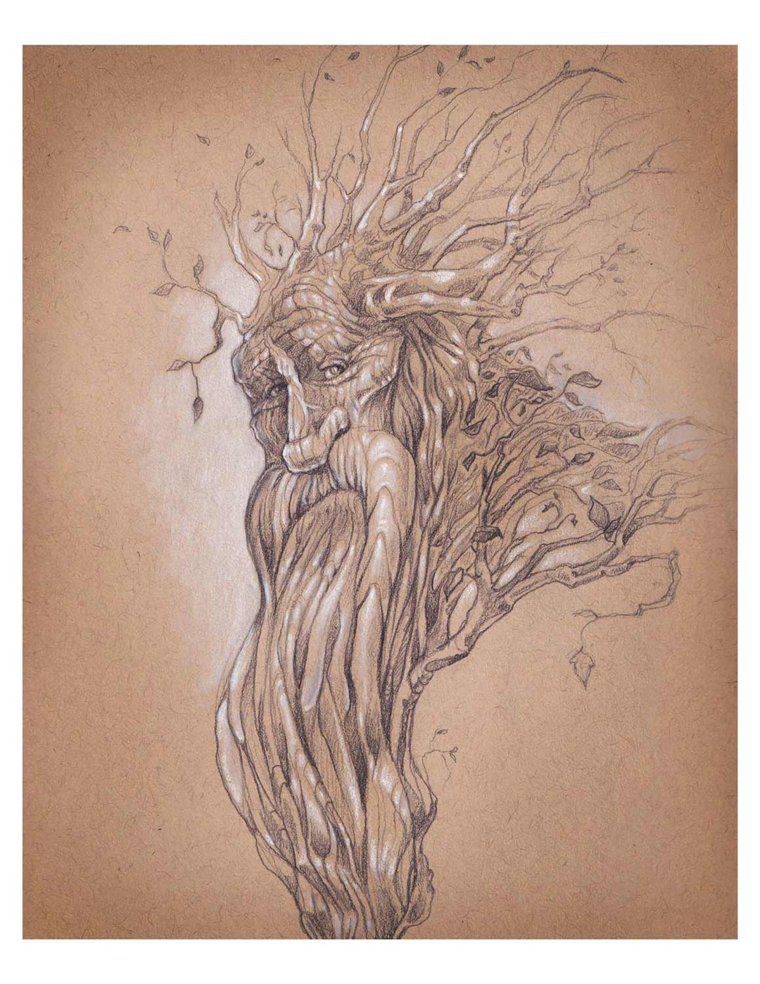 Treebeard Art Print - Etsy