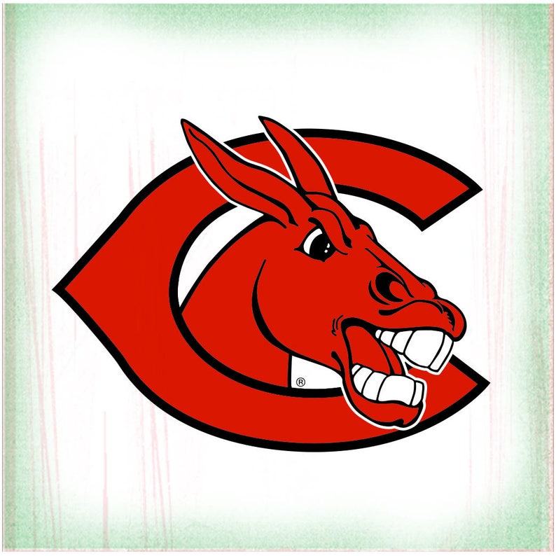 University of Central Missouri: Mule and "c" on White (single Stone ...