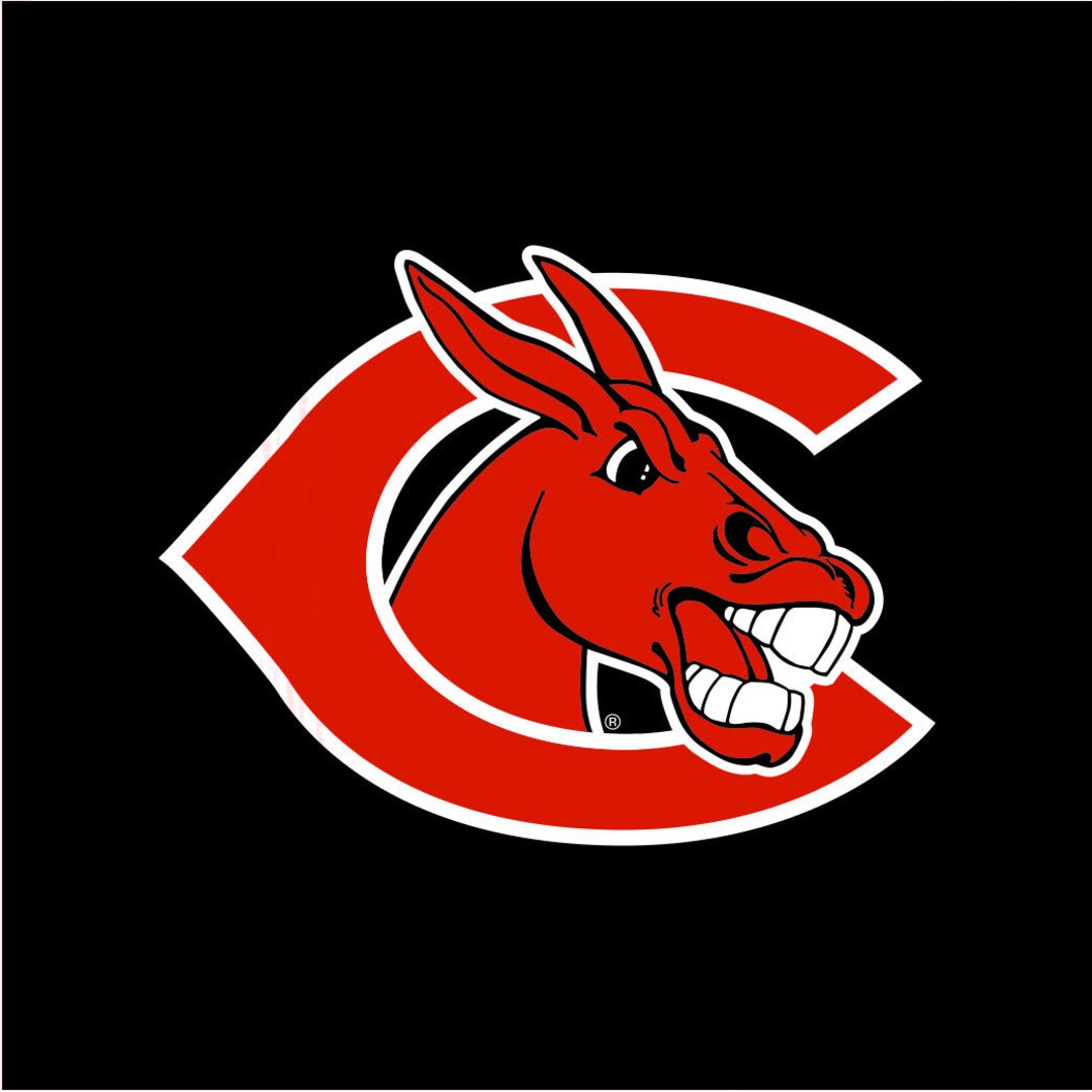 University of Central Missouri: Mule and "c" on Black (single Stone ...