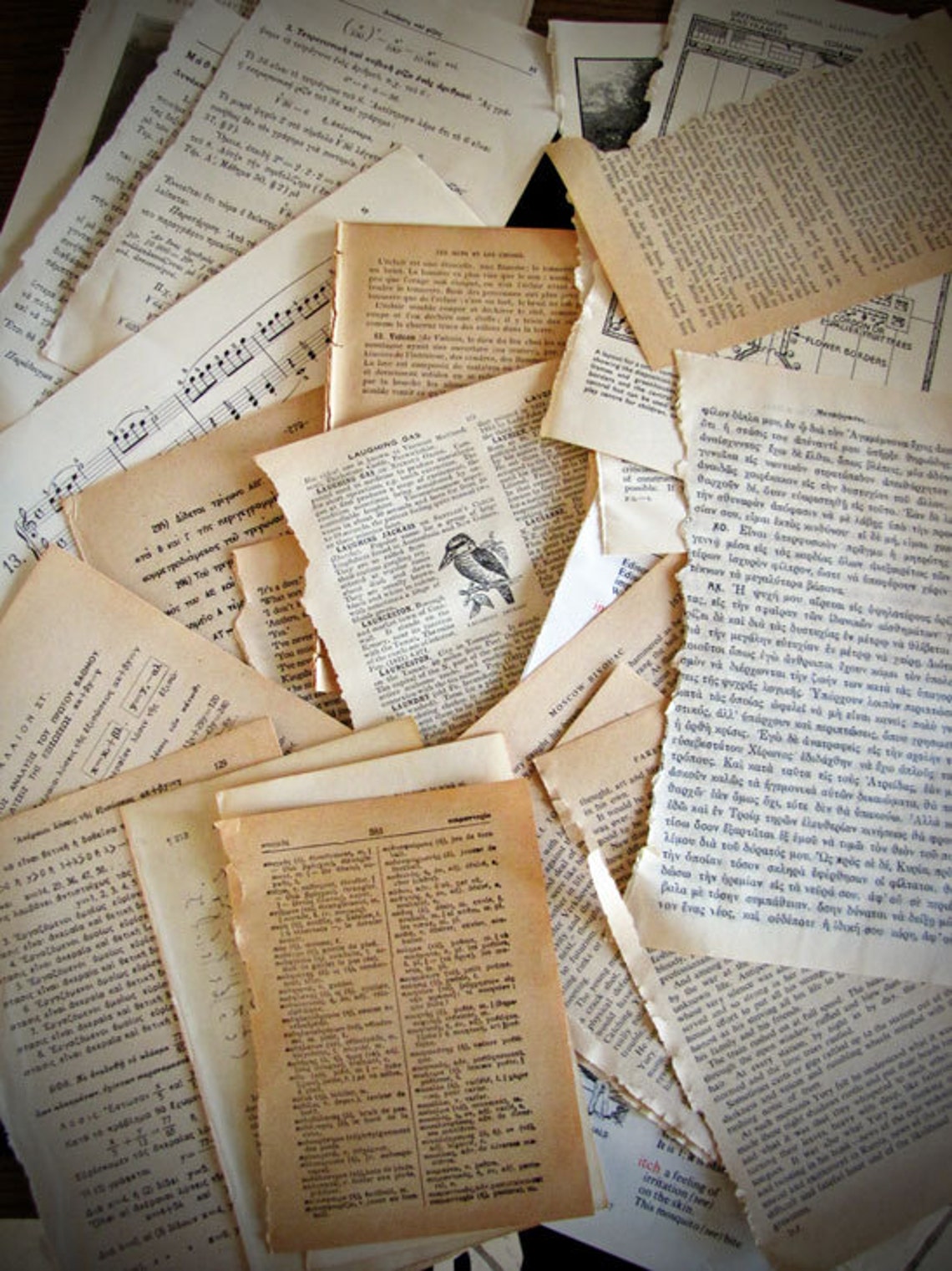 Large Ephemera Pack, Vintage Book Pages in Greek French German Polish ...