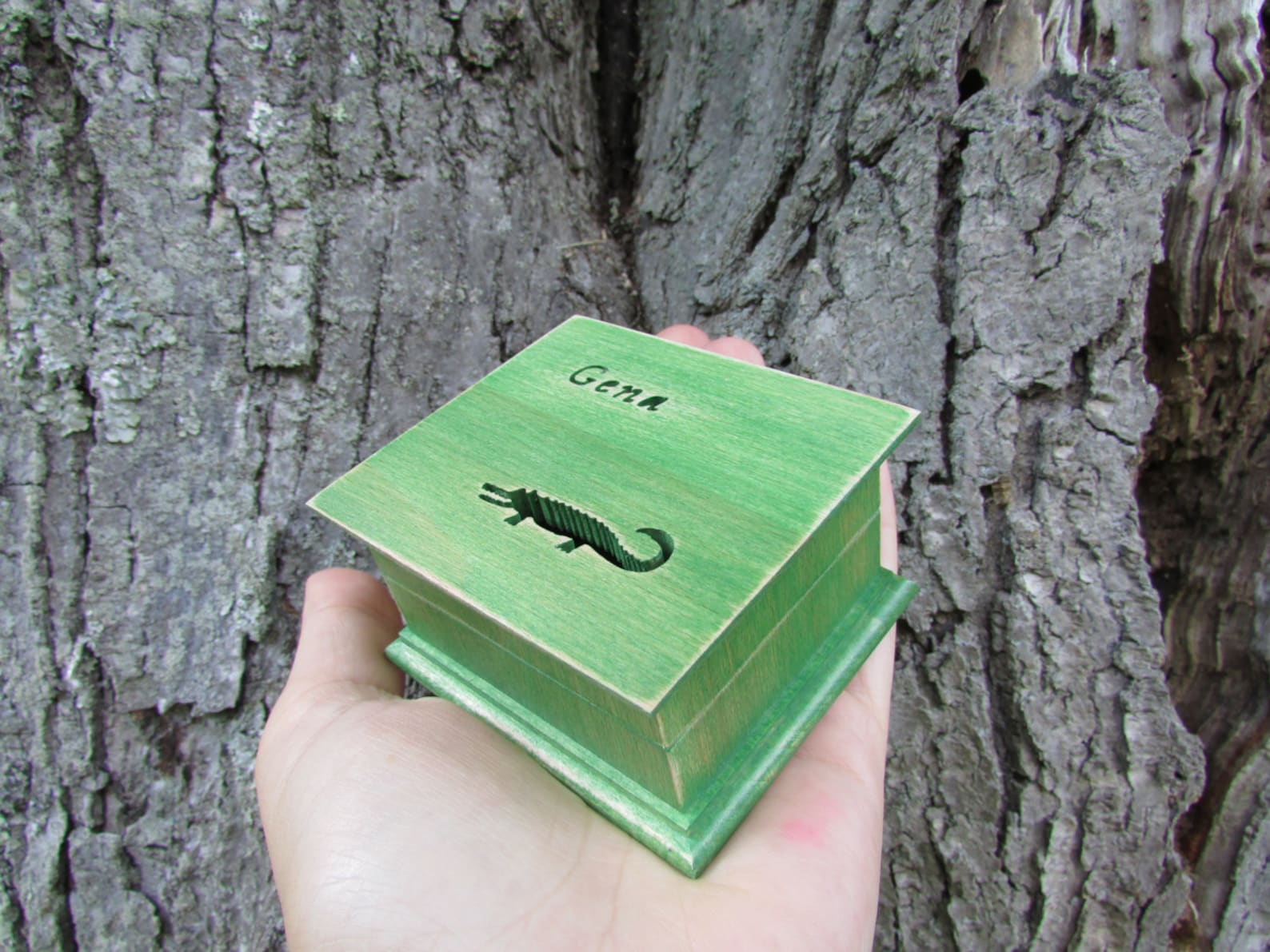 Crocodile, Toothless Crocodile, Alligator, Tooth Fairy Box, Tooth Fairy ...