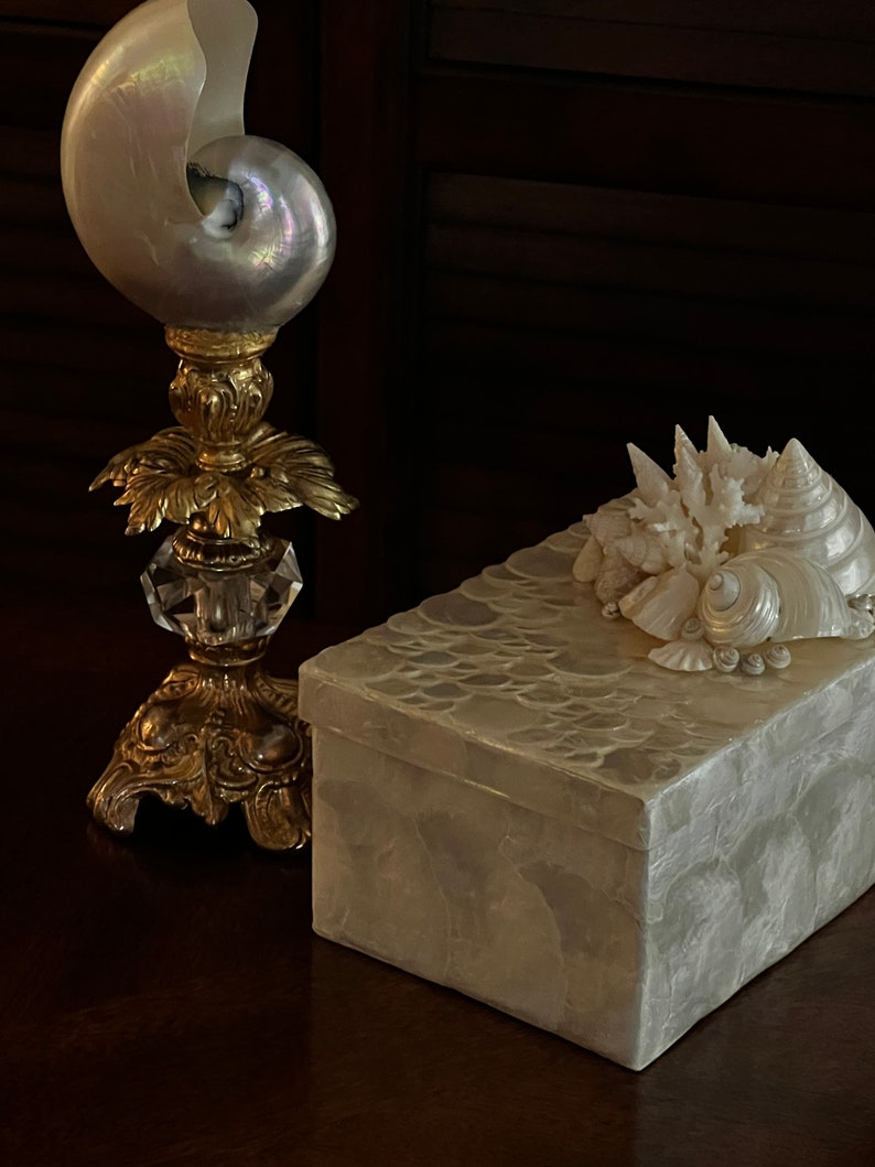 Pearlized Nautilus Sea Shell Mounted on a Beautiful Crystal and Gold ...