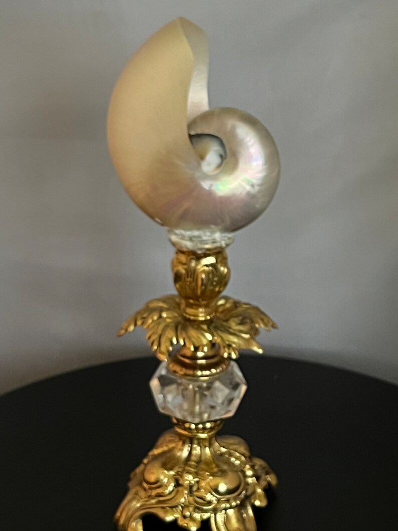 Pearlied Nautilus Shell: Gold Crystal Regency Style Decor - Etsy