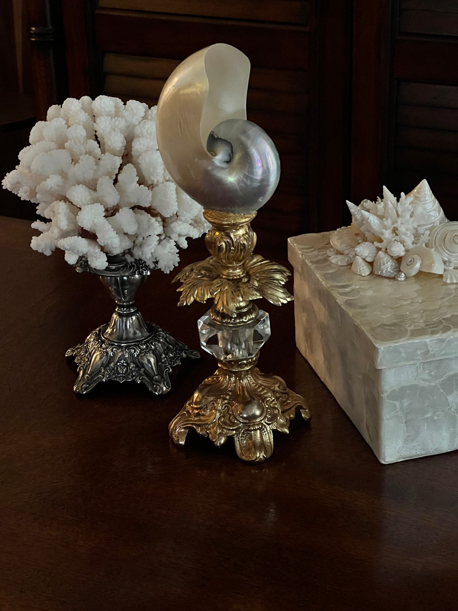 Pearlied Nautilus Shell: Gold Crystal Regency Style Decor - Etsy