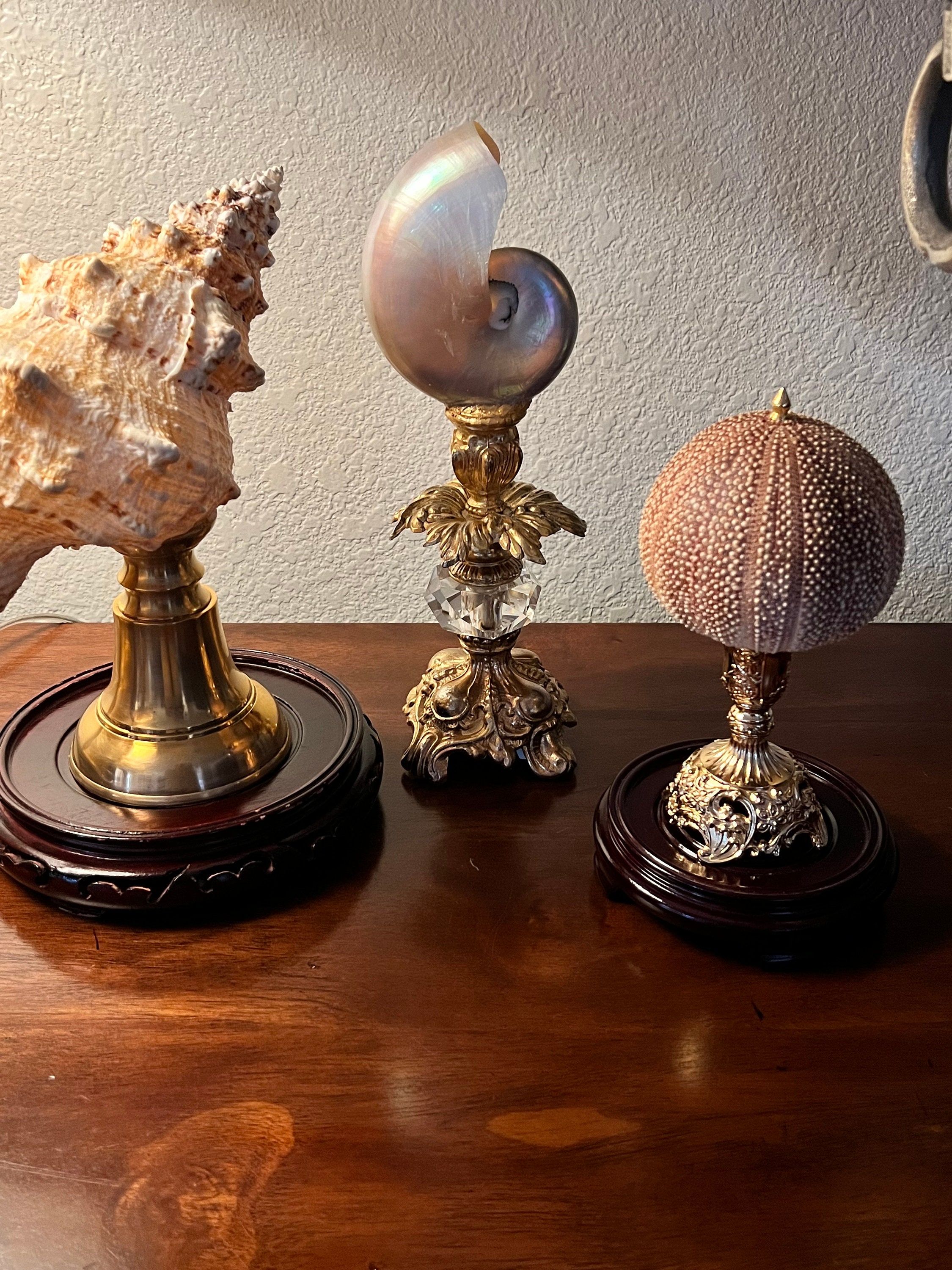 Pearlied Nautilus Shell: Gold Crystal Regency Style Decor - Etsy