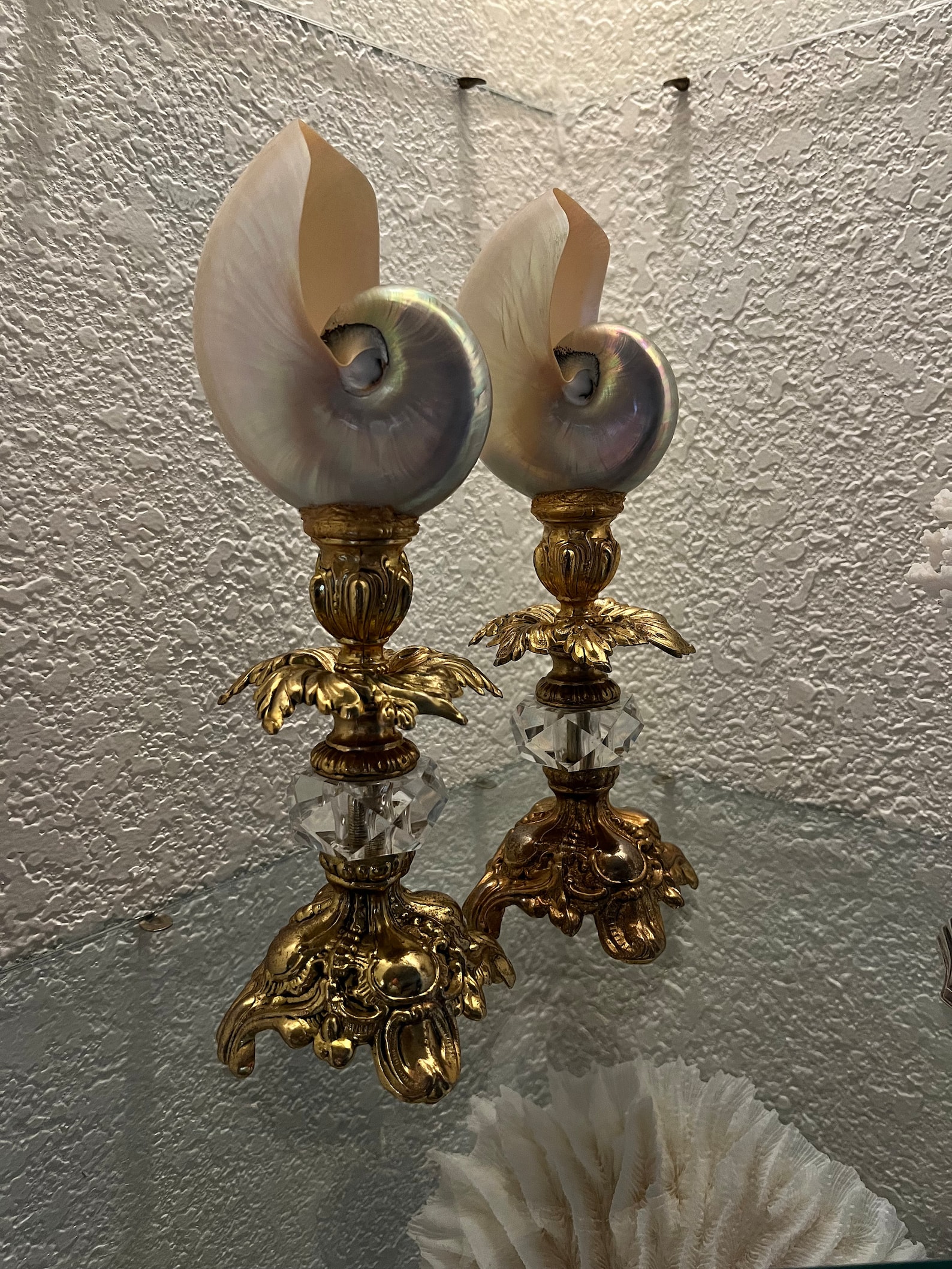 Pearlied Nautilus Shell: Gold Crystal Regency Style Decor - Etsy