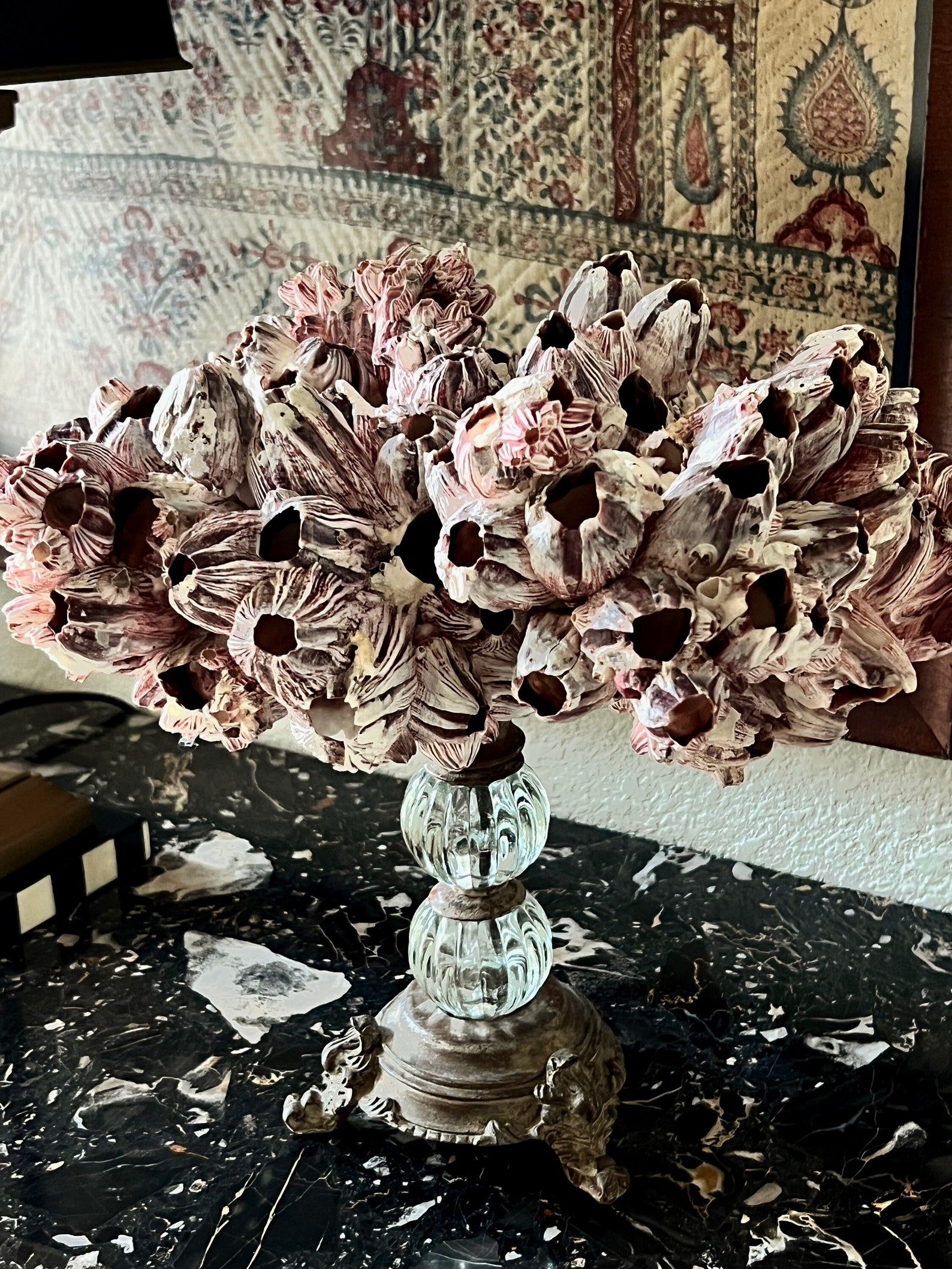Huge Pink and Purple 14 Barnacle Cluster Mounted on a Inch Antiqued ...