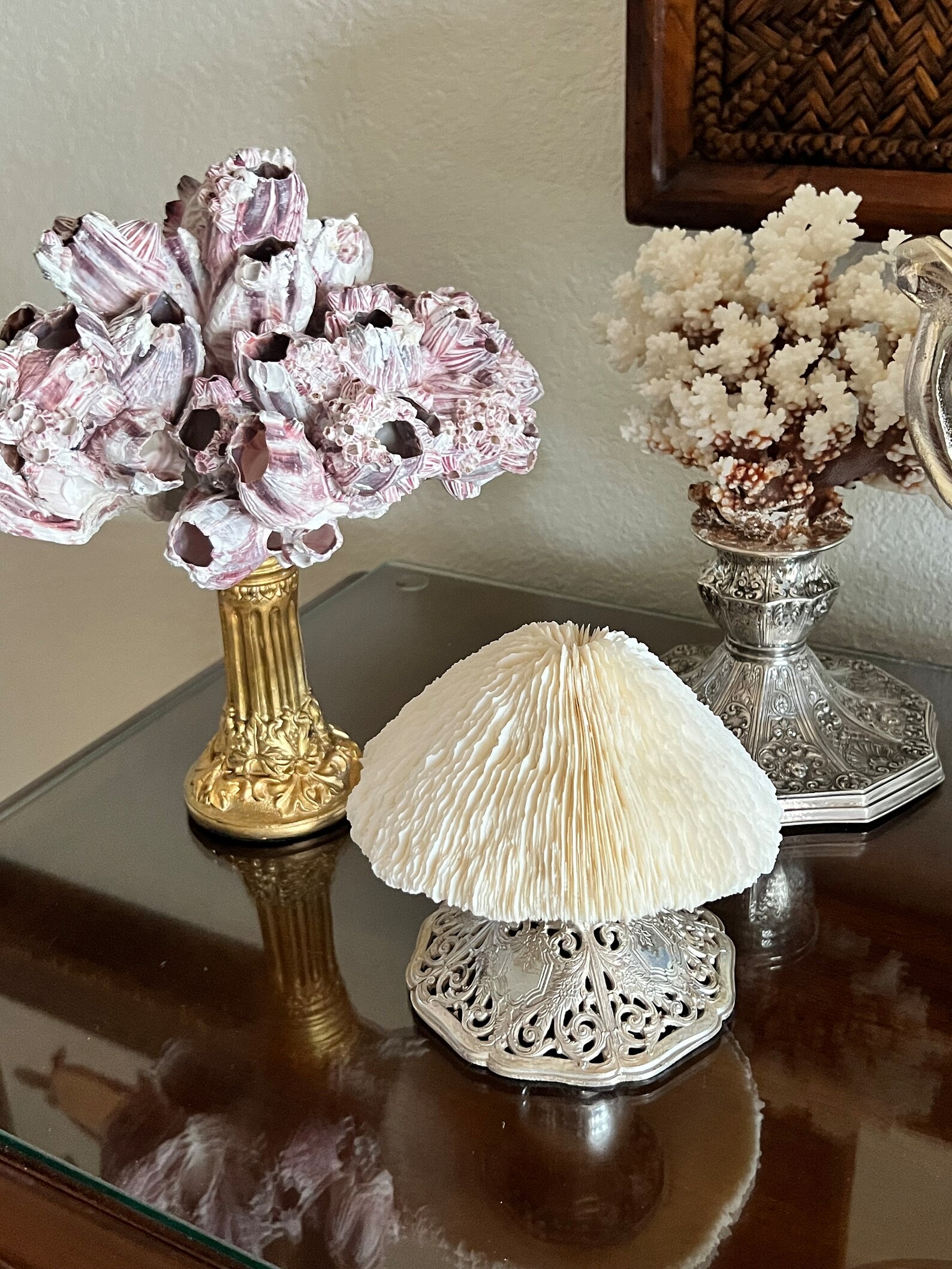 Large Cluster of Pink and Purple Sea Barnacles Mounted on a Gold ...