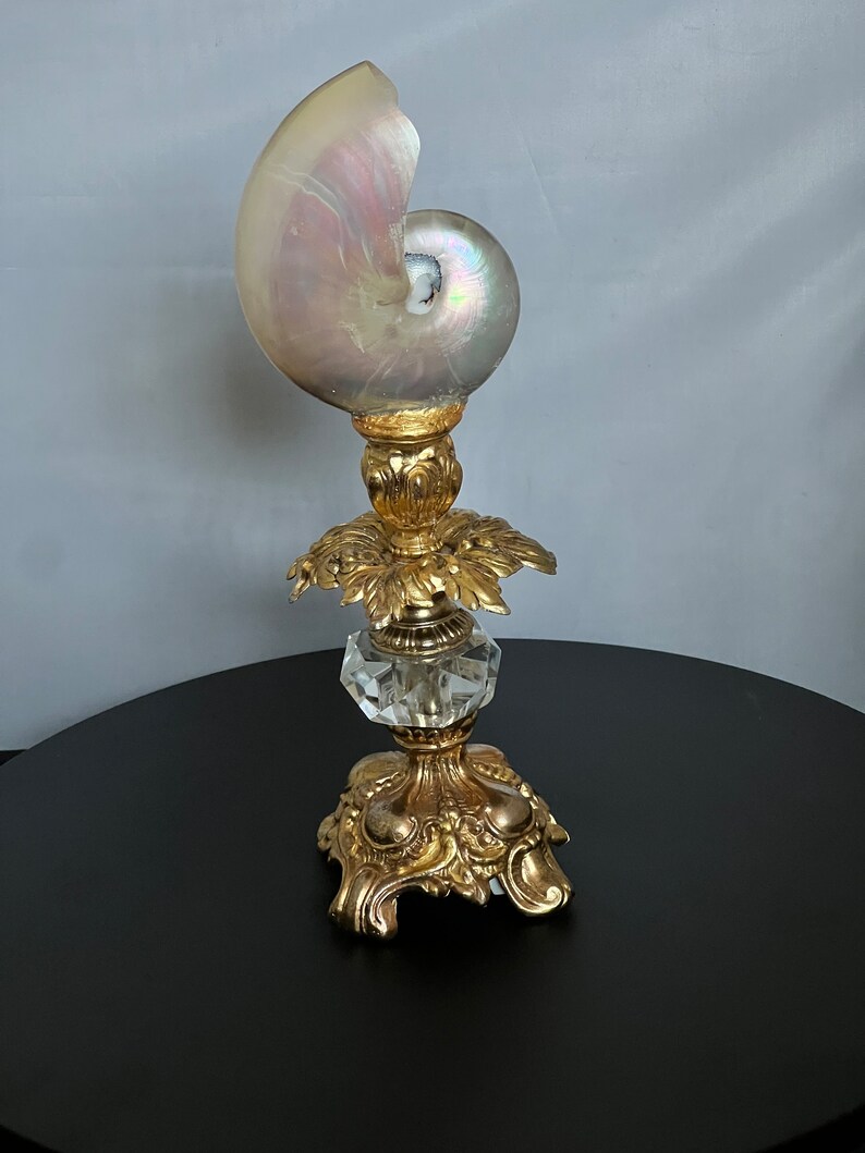 Pearlized Nautilus Sea Shell Mounted on a Beautiful Crystal and Gold ...