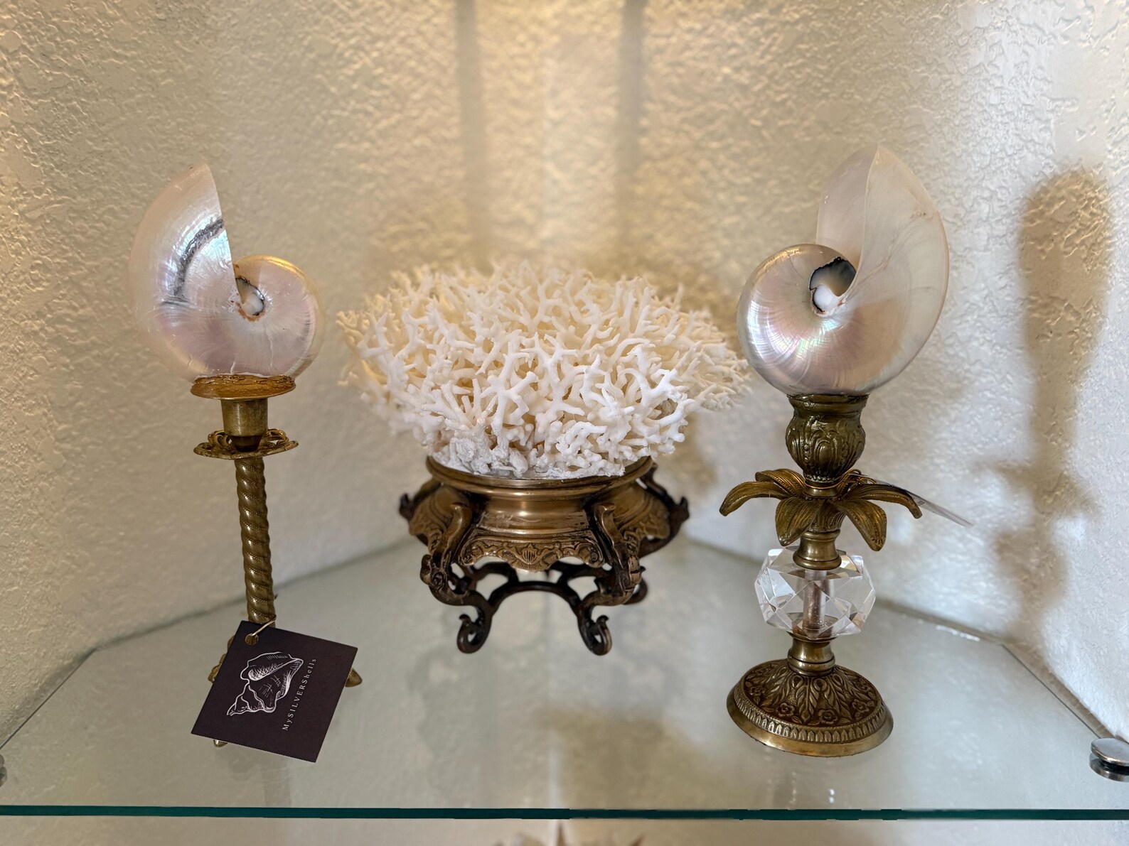 Pearlized Nautilus Shell on Rococo Brass Crystal Pedestal - Etsy