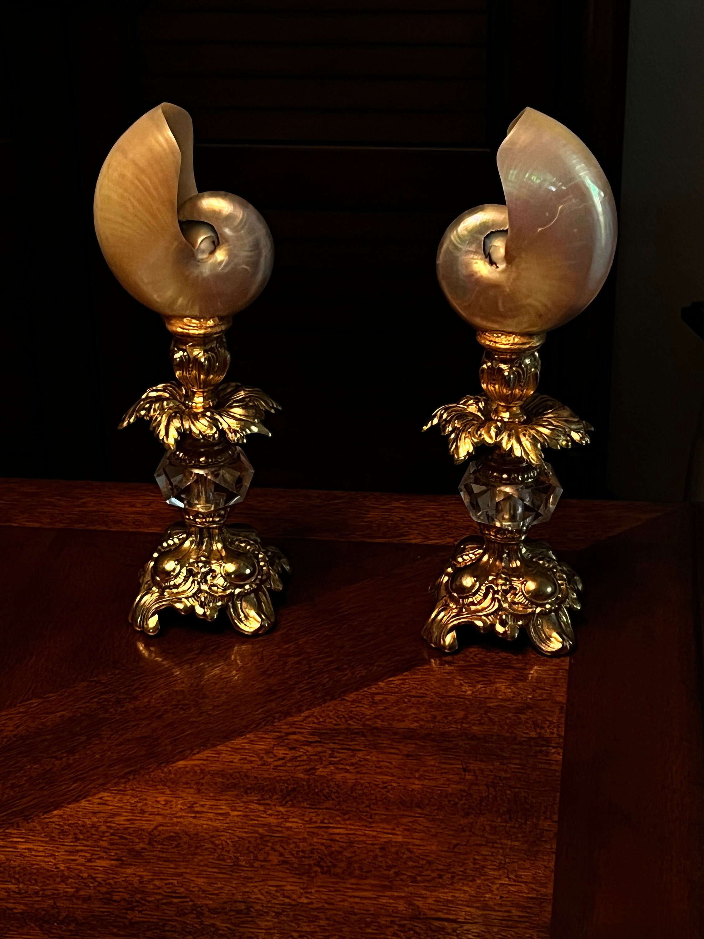 Pearlied Nautilus Shell: Gold Crystal Regency Style Decor - Etsy